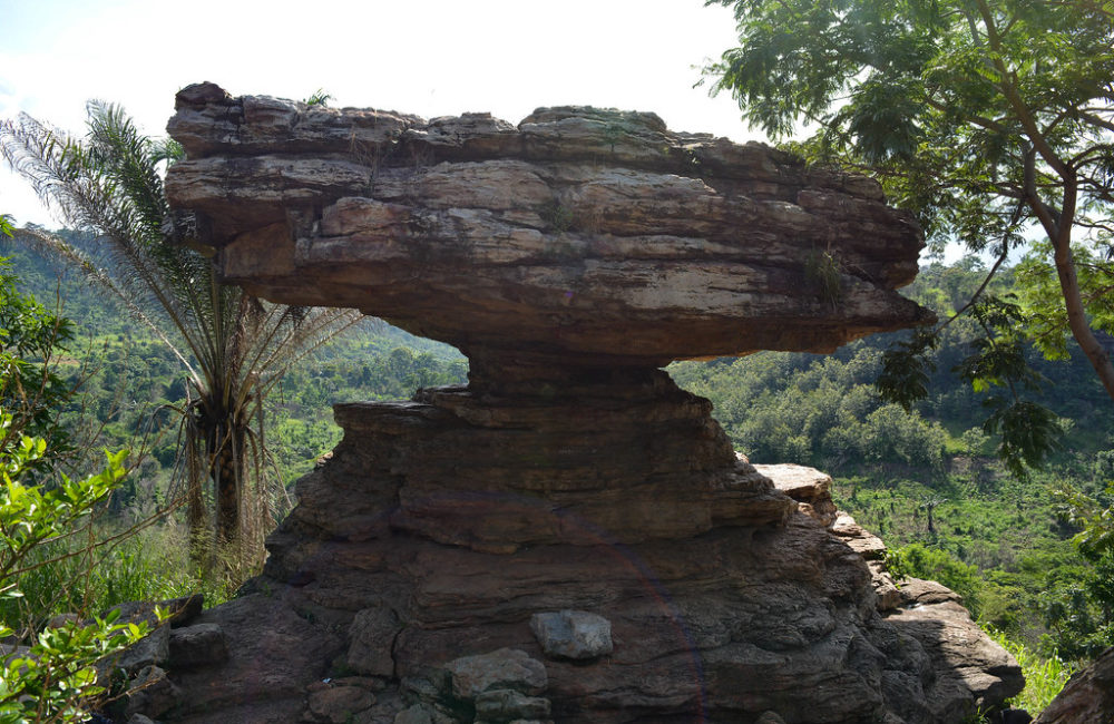 Bunso Arboretum, Eastern (+233 20 516 6045)