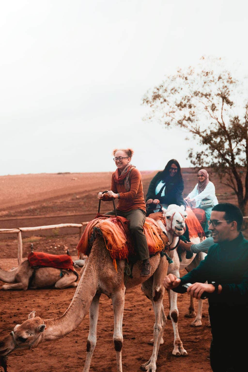 The Semester at Sea Experience