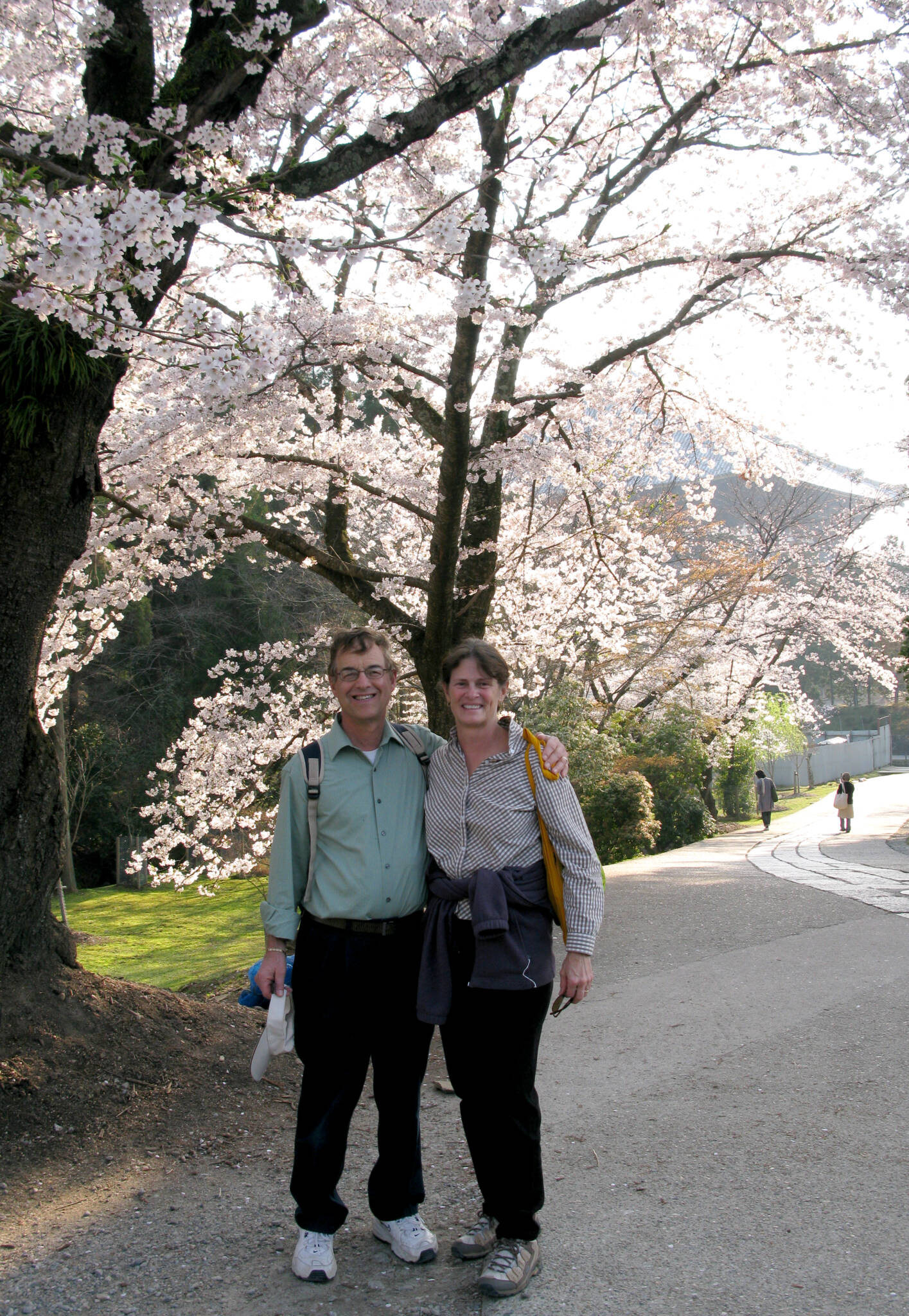 Alumni Profile: Professors John and Faye Serio (SP05, SP09, FA12, SP14 ...