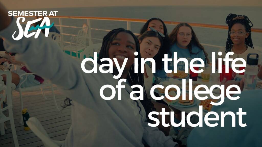 Undergraduate Admission Requirements