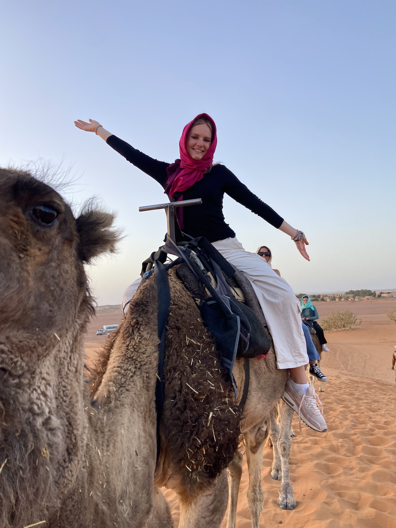 Global Ambassador Program | Alumni Mentorship